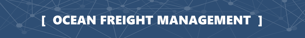 15 Shipping Solutions That Transform Your Supply Chain Network